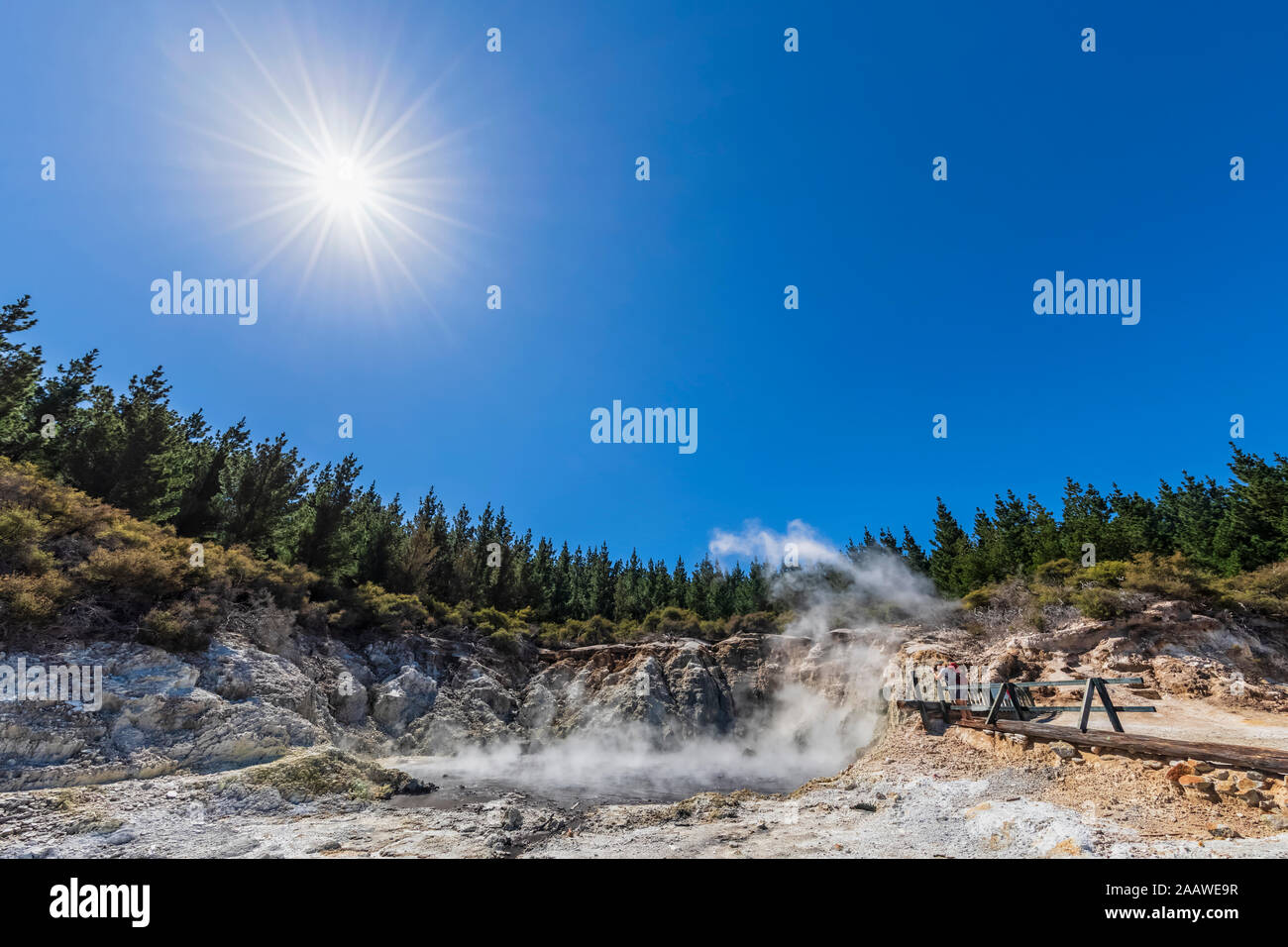Hells gate geothermal park rotorua hi-res stock photography and images ...