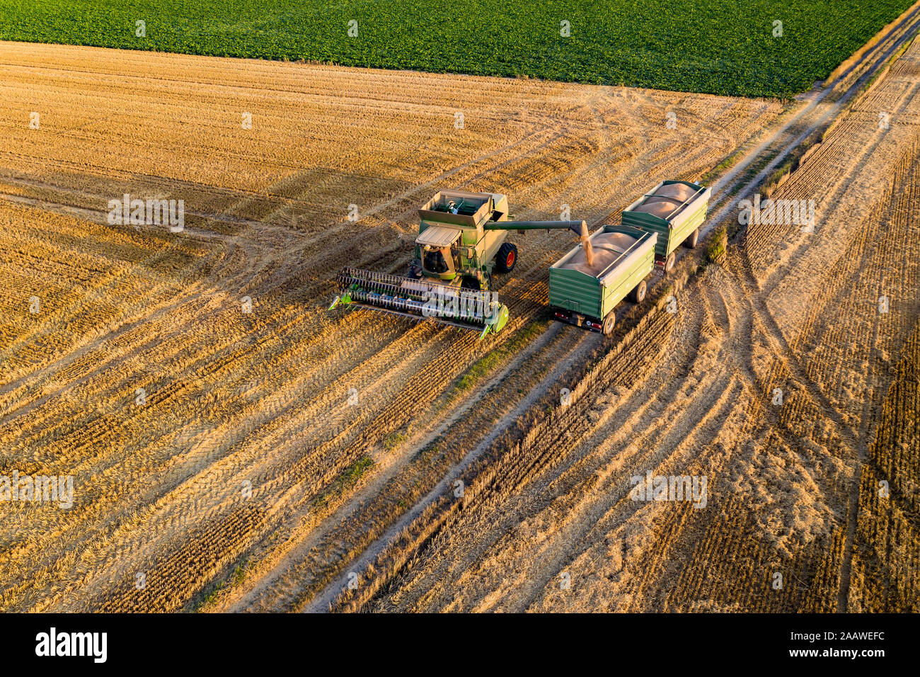 Aerial view of combine harvester on agricultural field during sunset ...