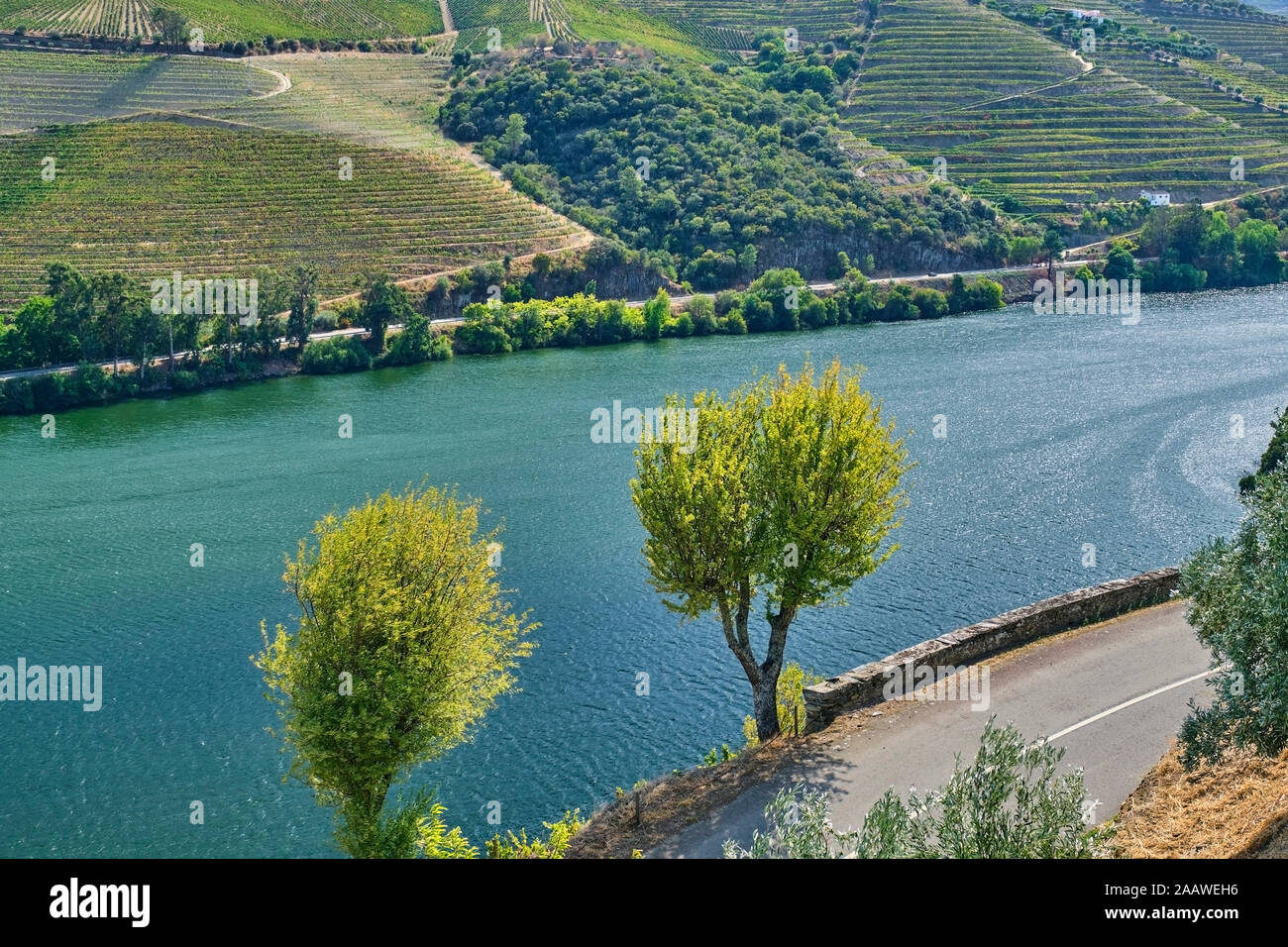 Portugal, Douro, Douro Valley, High angle view of river flowing in wine ...