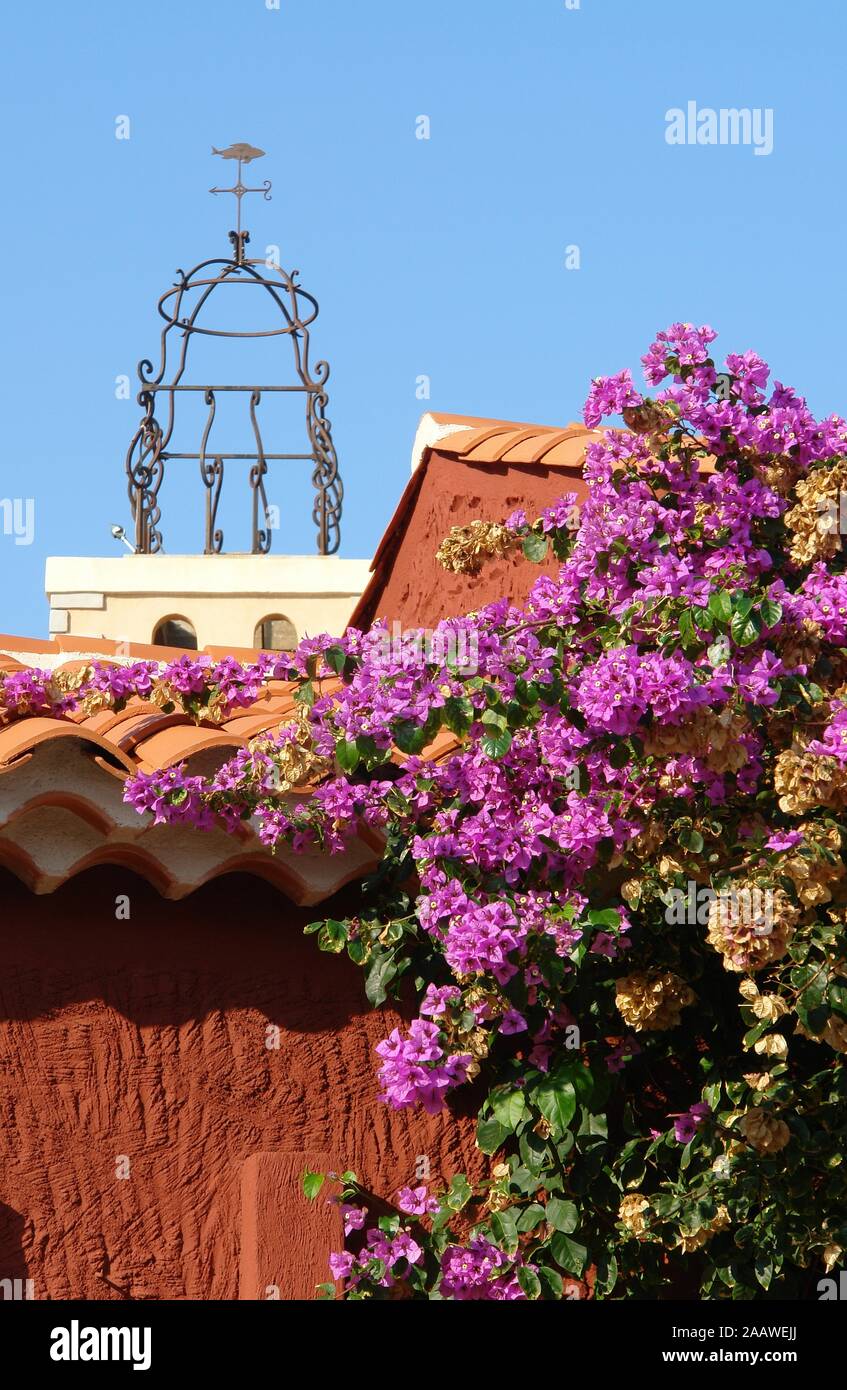 Bendor island Bandol Var France Provence Stock Photo - Alamy