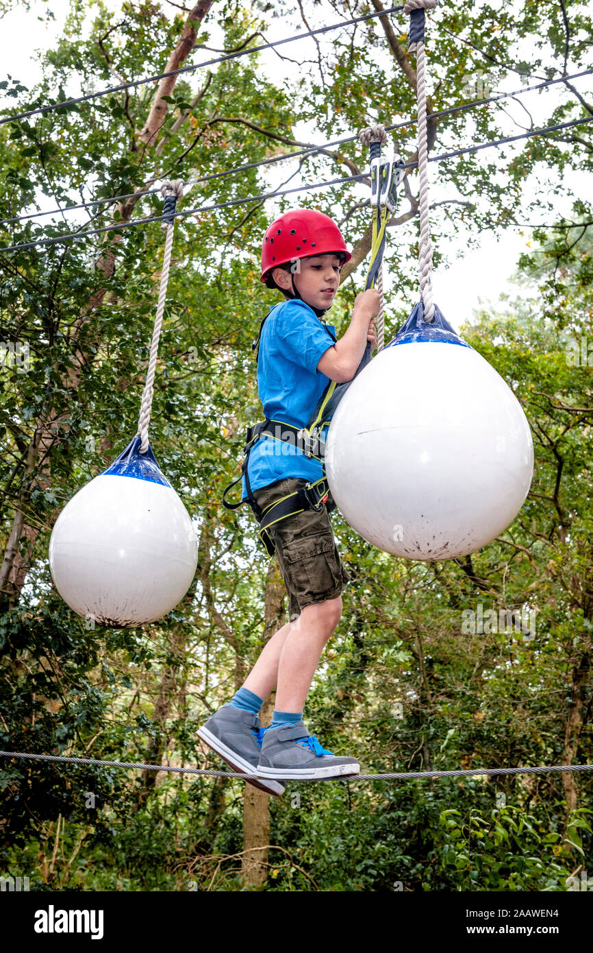 Boy on a high rope course in forest Stock Photo - Alamy