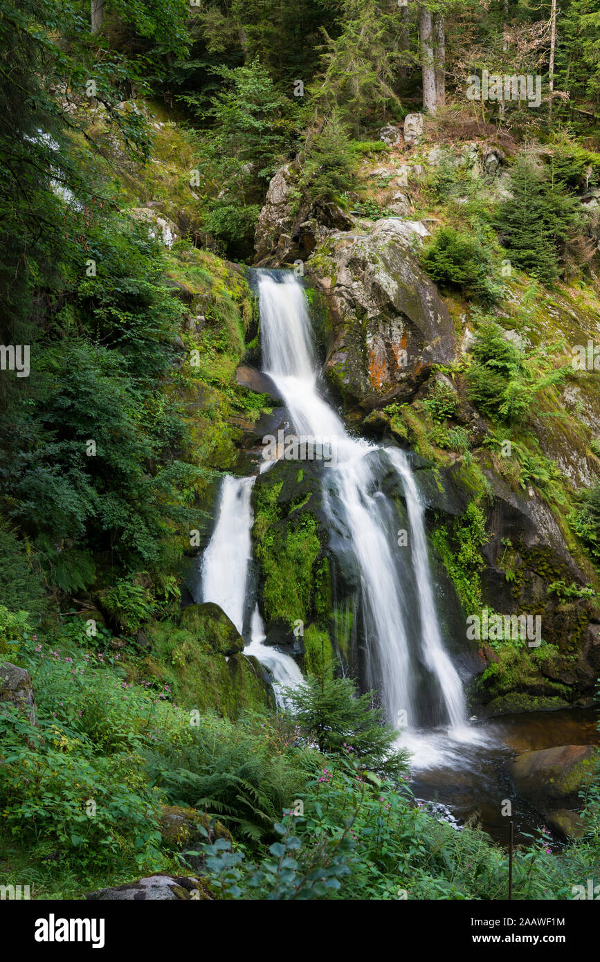 Triberg waterfalls, Triberg, Germany Stock Photo - Alamy
