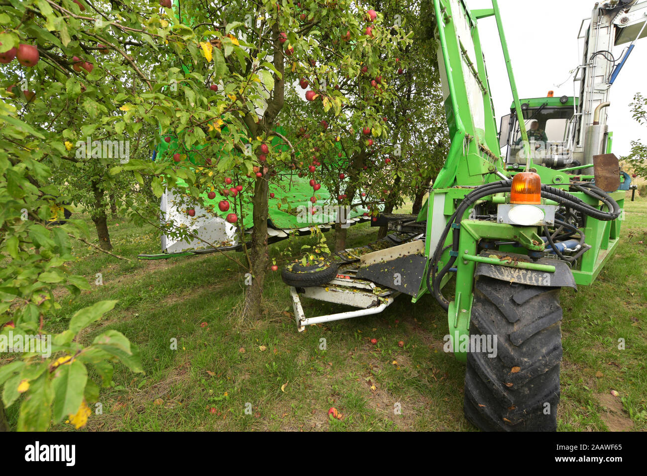 Apple harvesting machine hi-res stock photography and images - Alamy