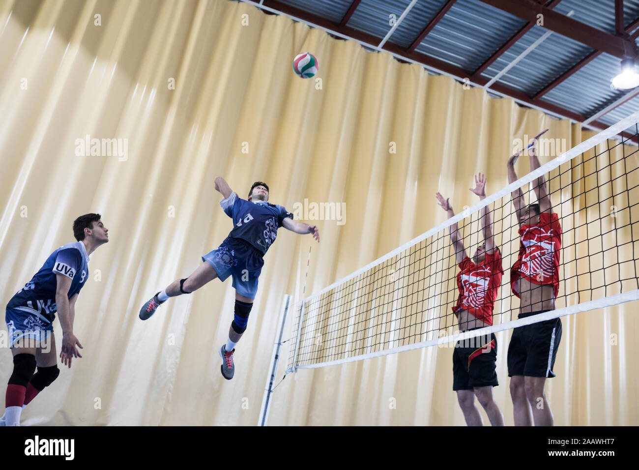 Action activity adults agility athlete ball hi-res stock photography ...