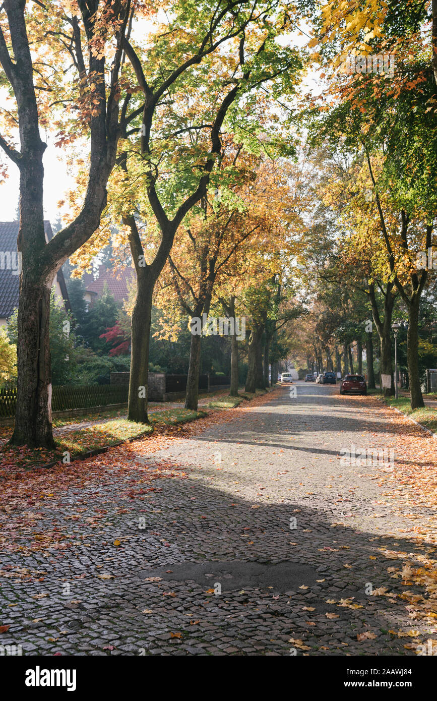 Residential area in autumn, Berlin, Germany Stock Photo - Alamy