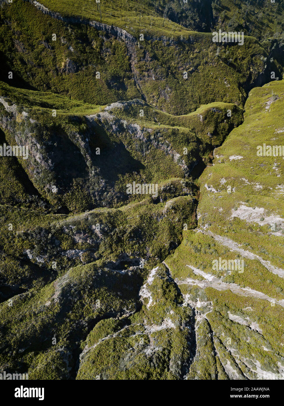 Indonesia, Java, Aerial view of green overgrown ridge of Ijen volcano ...
