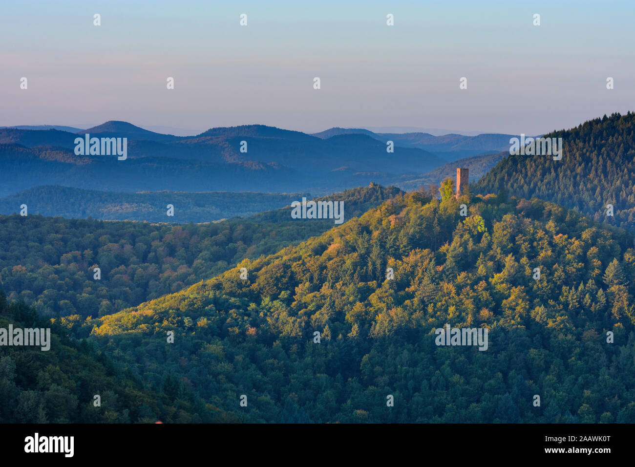 Scharfenberg castle in pfalzerwald hi-res stock photography and images ...