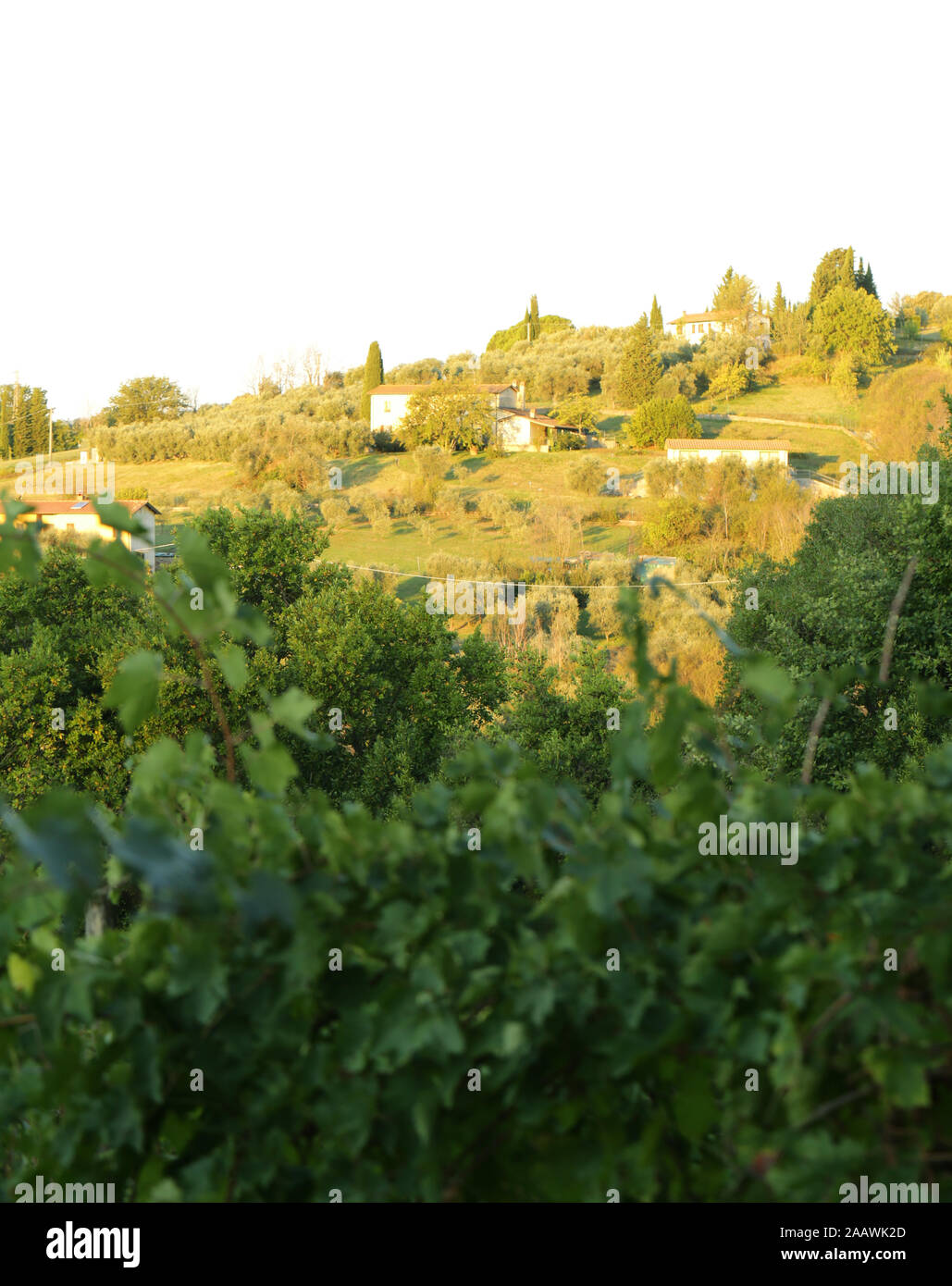 Italian landscapes, architecture and gardens beautiful views Stock ...