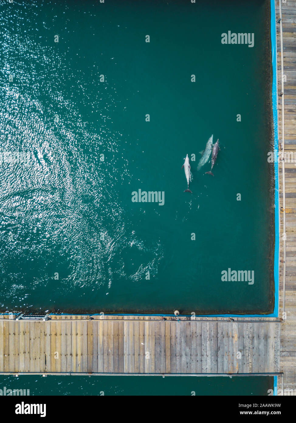 Dolphinarium aerial hi-res stock photography and images - Alamy
