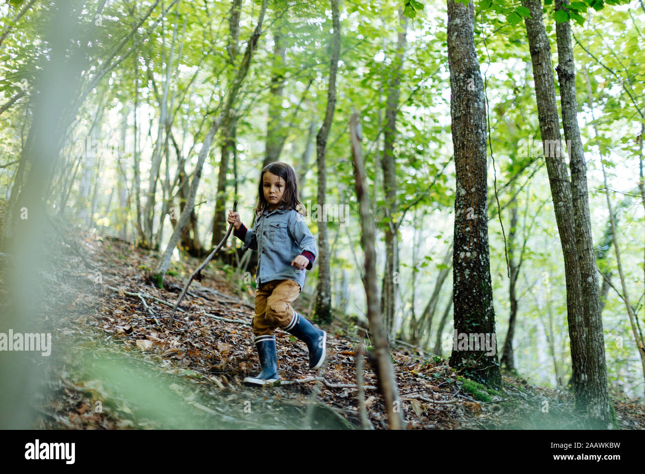 Child walking alone forest hi-res stock photography and images - Alamy