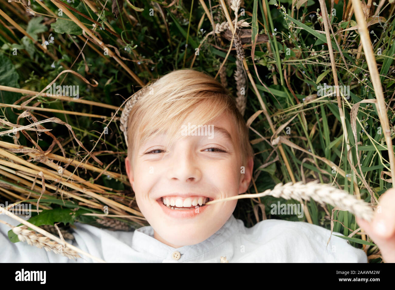 Portrait of smiling blond boy with oat ear in mouth lying in an oat ...