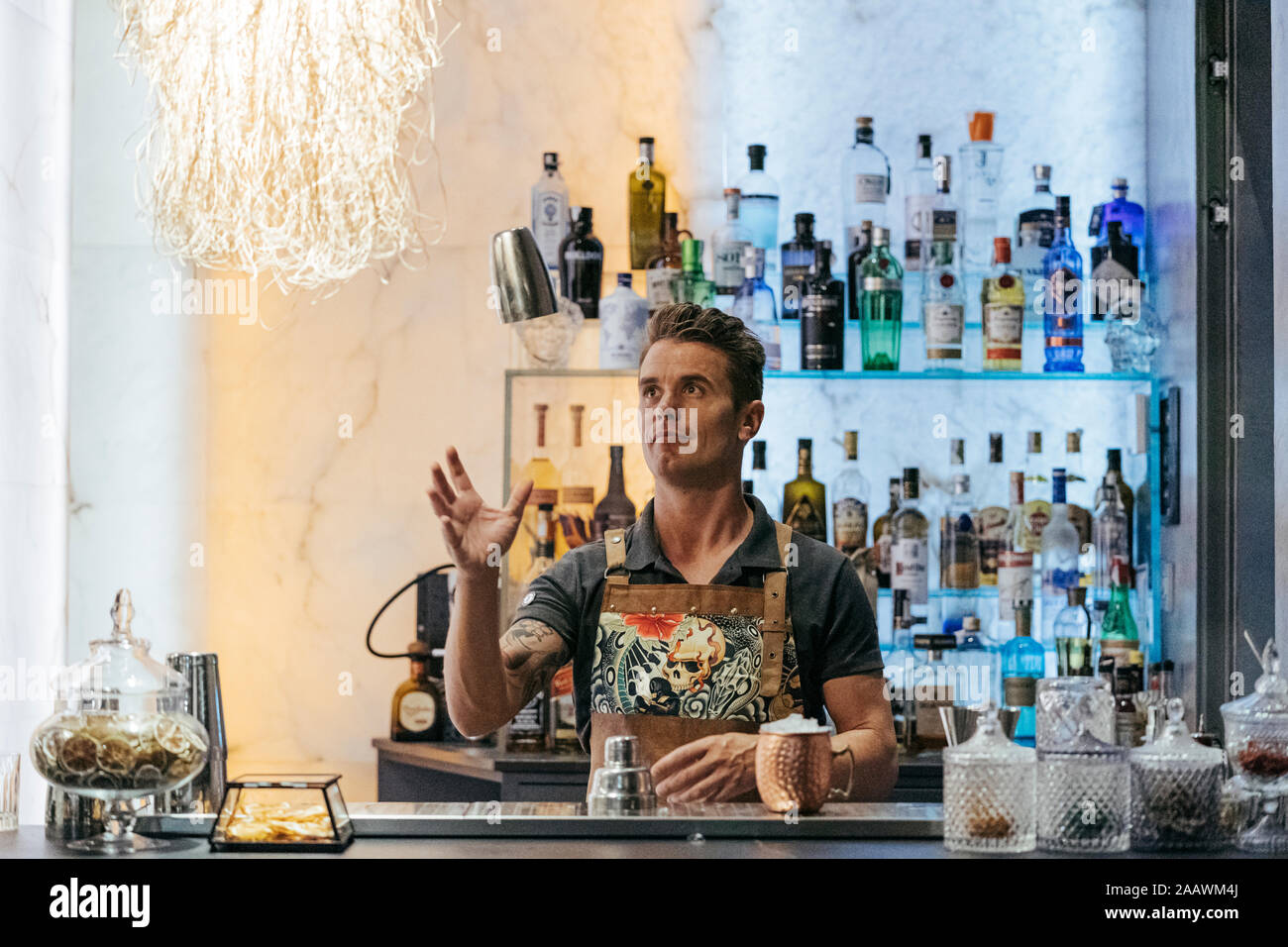 Bartender mixing cocktail in a bar, using cocktail mixer Stock Photo ...
