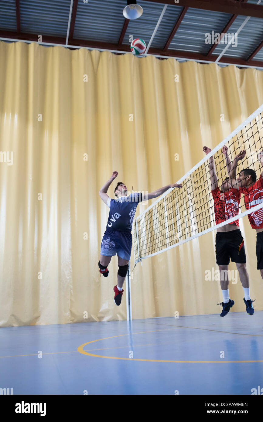 Man jumping during a volleyball match Stock Photo - Alamy