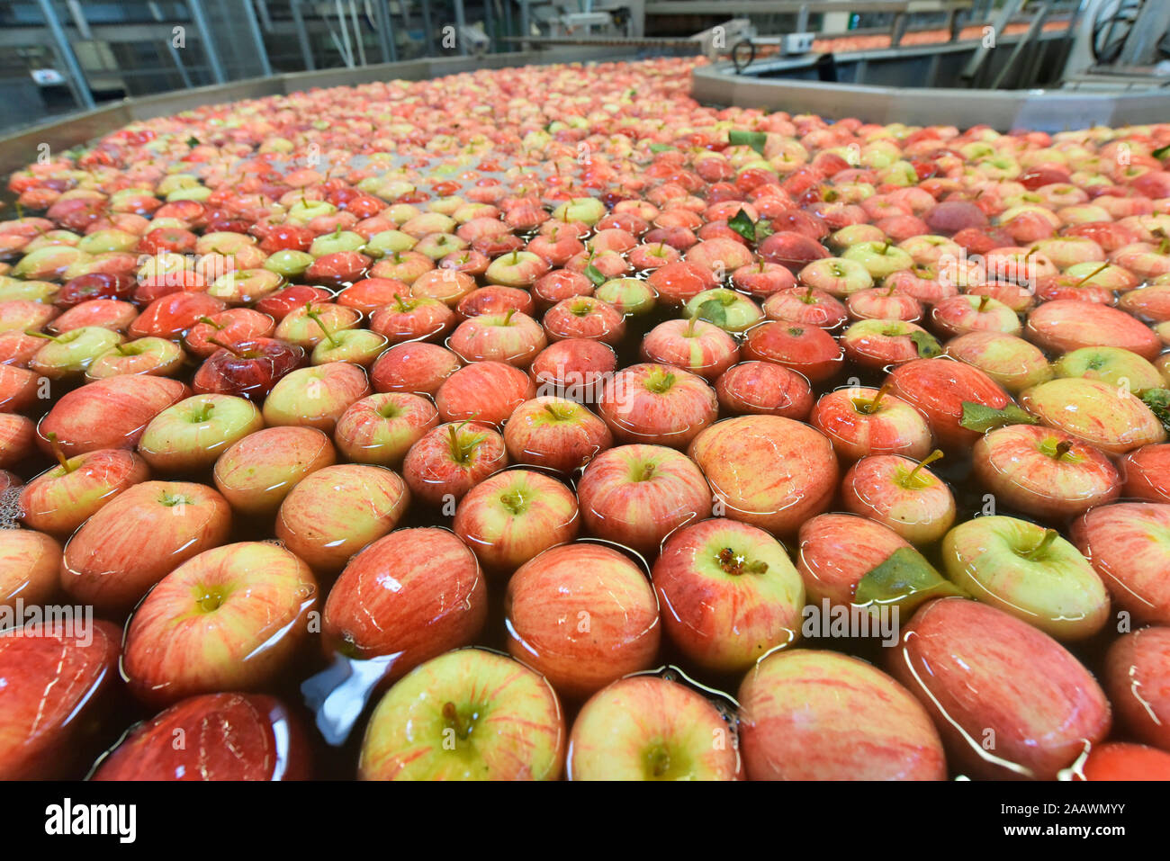 Apple floating in water hi-res stock photography and images - Alamy