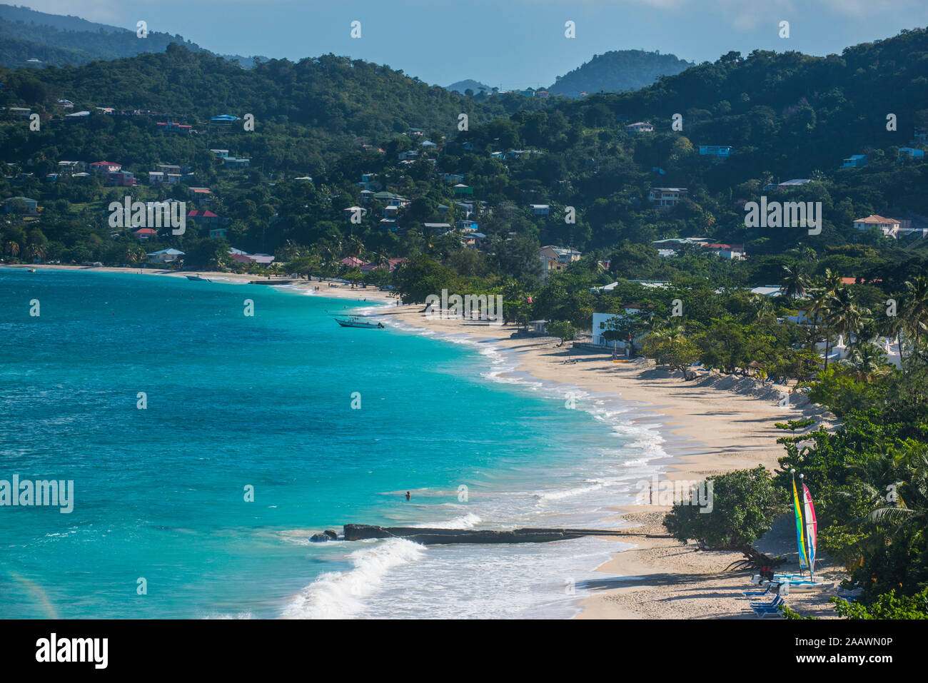 Birds of the caribbean hi-res stock photography and images - Alamy