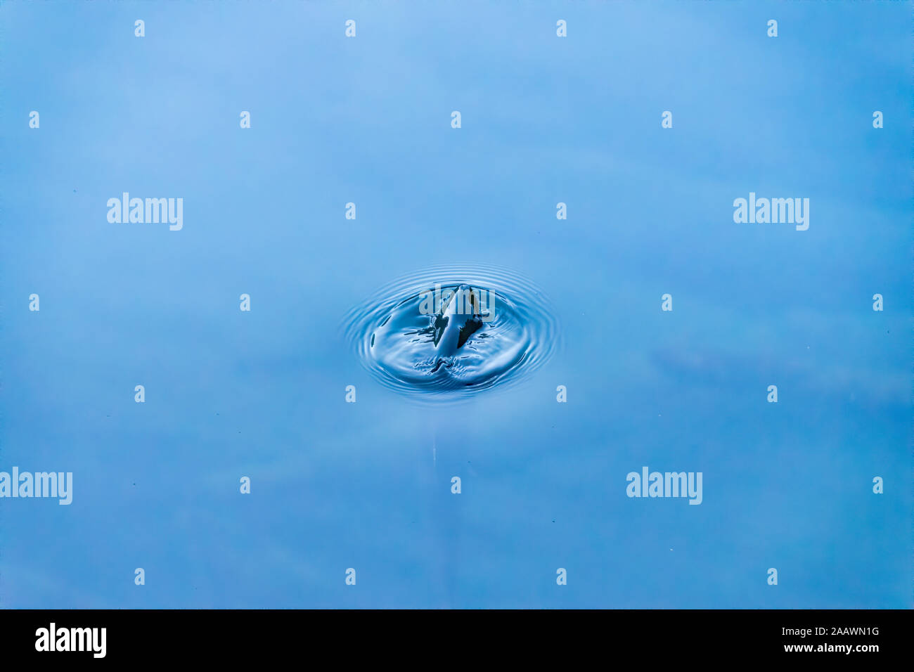 Rising trout hi-res stock photography and images - Alamy