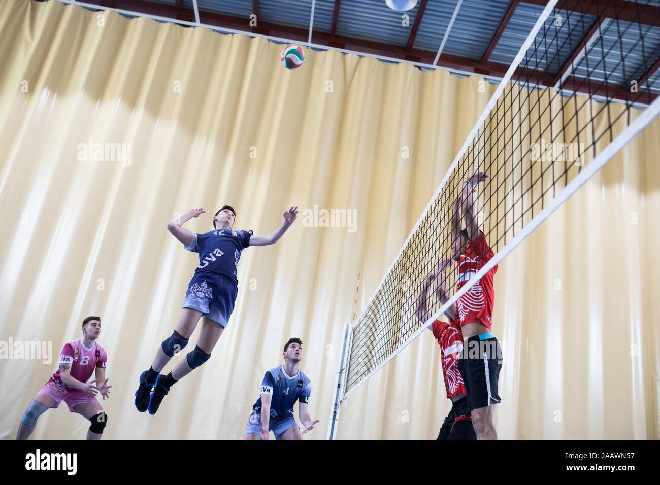 Man jumping during a volleyball match Stock Photo - Alamy