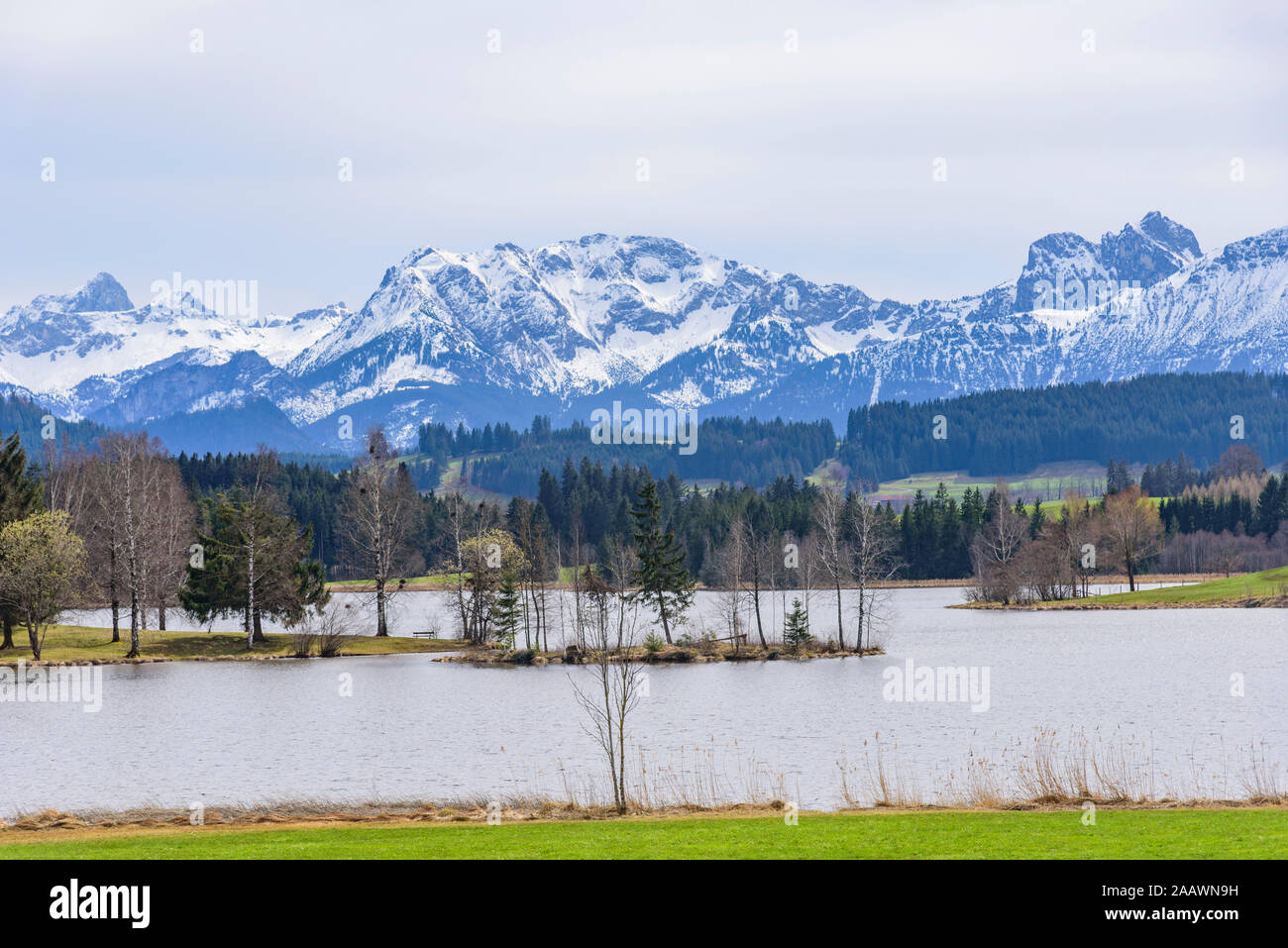 Alpine border hi-res stock photography and images - Alamy
