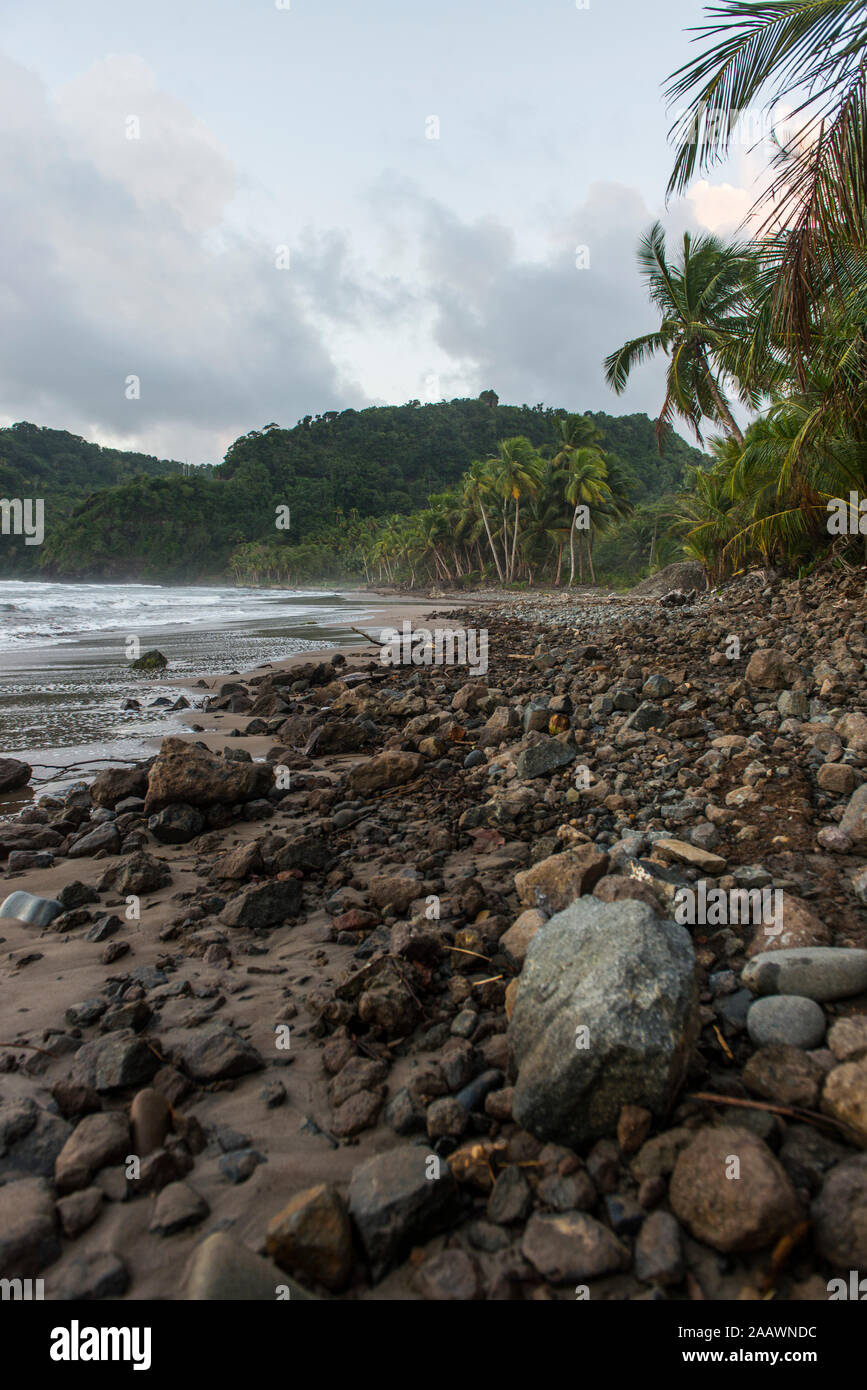 Dominica Black Sand Beach