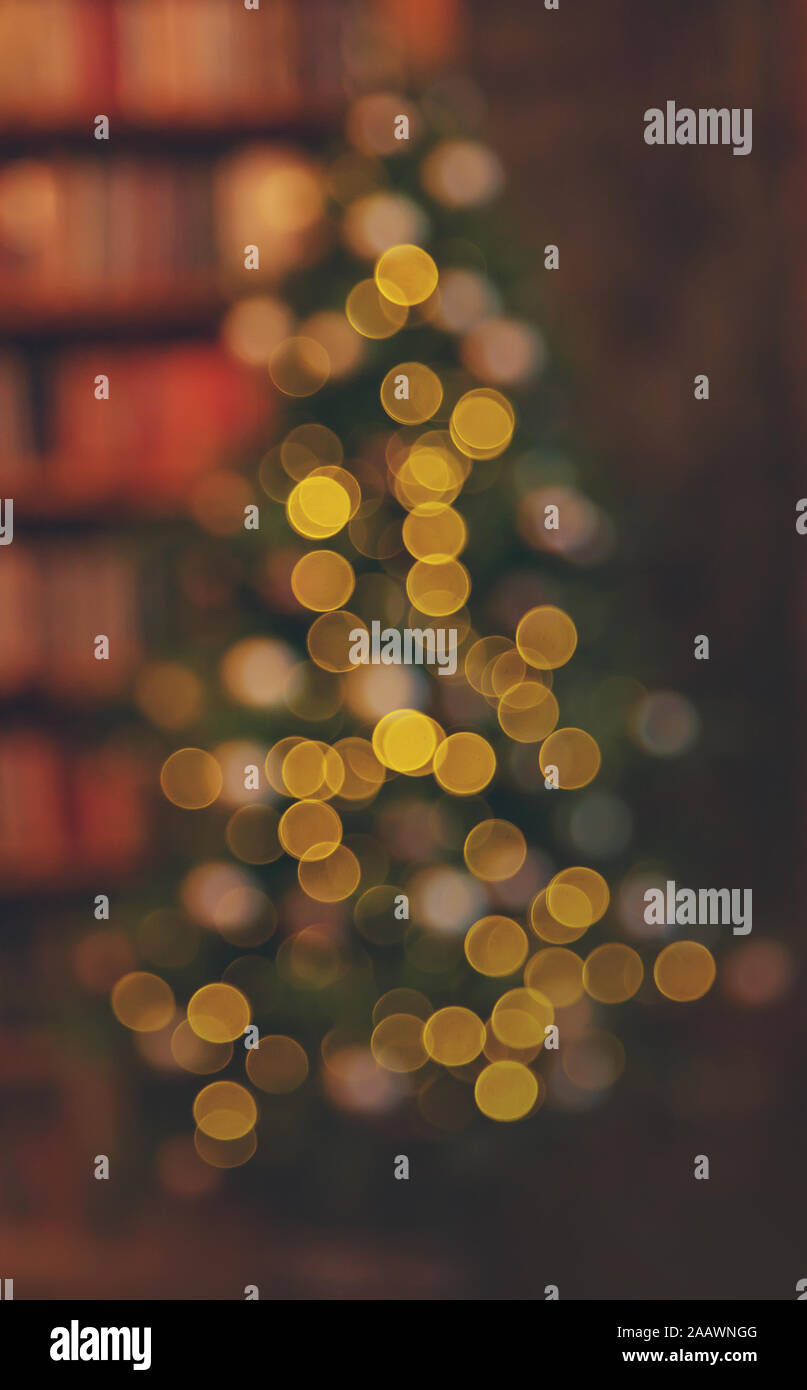 Christmas tree in a loft style. blurred background. Holiday Stock Photo ...