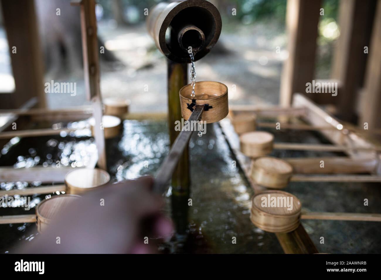 Young woman catching water for the ritual of hand washing in a Tokyo ...