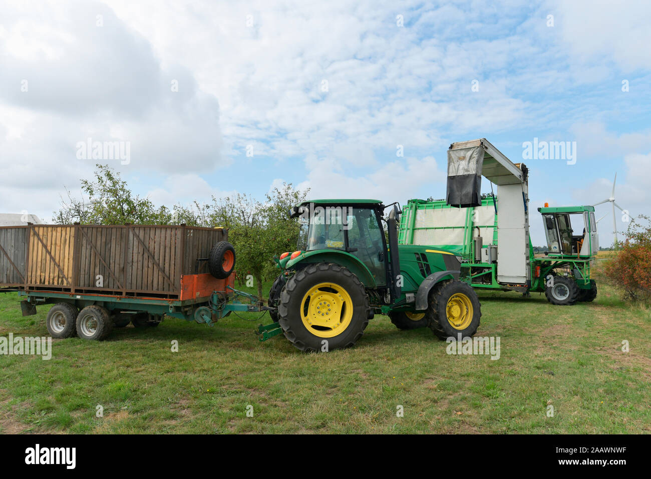Apple harvesting on a plantation, harvester for automation Stock Photo ...