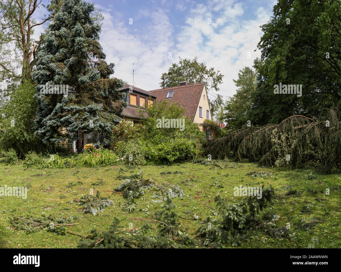 Wind damage garden hi-res stock photography and images - Alamy