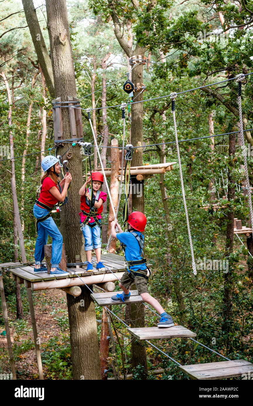 Family on a high rope course in forest Stock Photo - Alamy