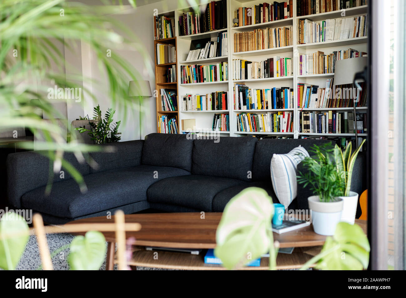 Couch and bookshelf in cozy living room Stock Photo - Alamy
