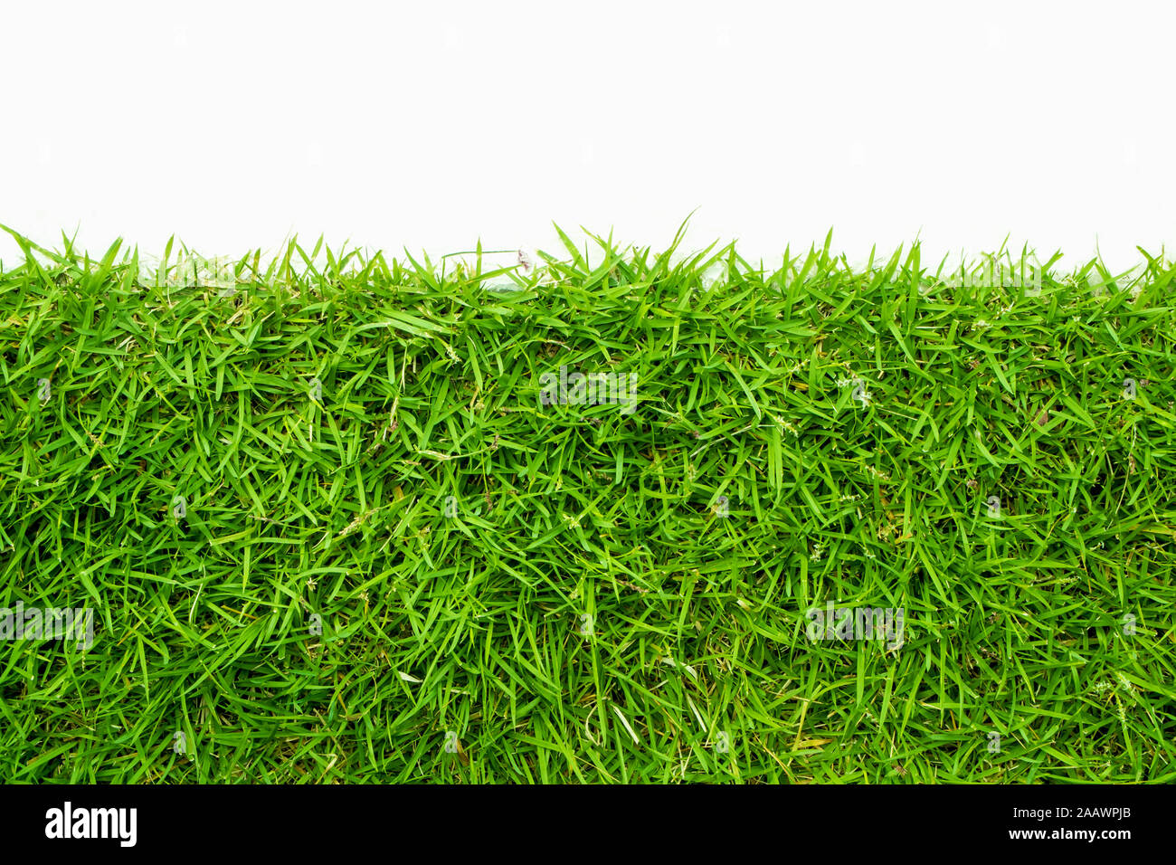 Greensward and the white space Stock Photo - Alamy