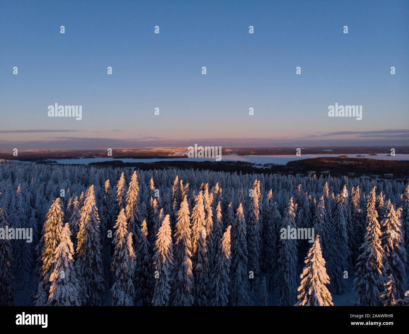 Finland winter forest aerial hi-res stock photography and images - Alamy