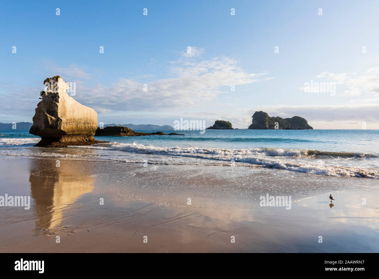 New Zealand, North Island, Waikato, Smiling Sphinx Rock in Cathedral ...