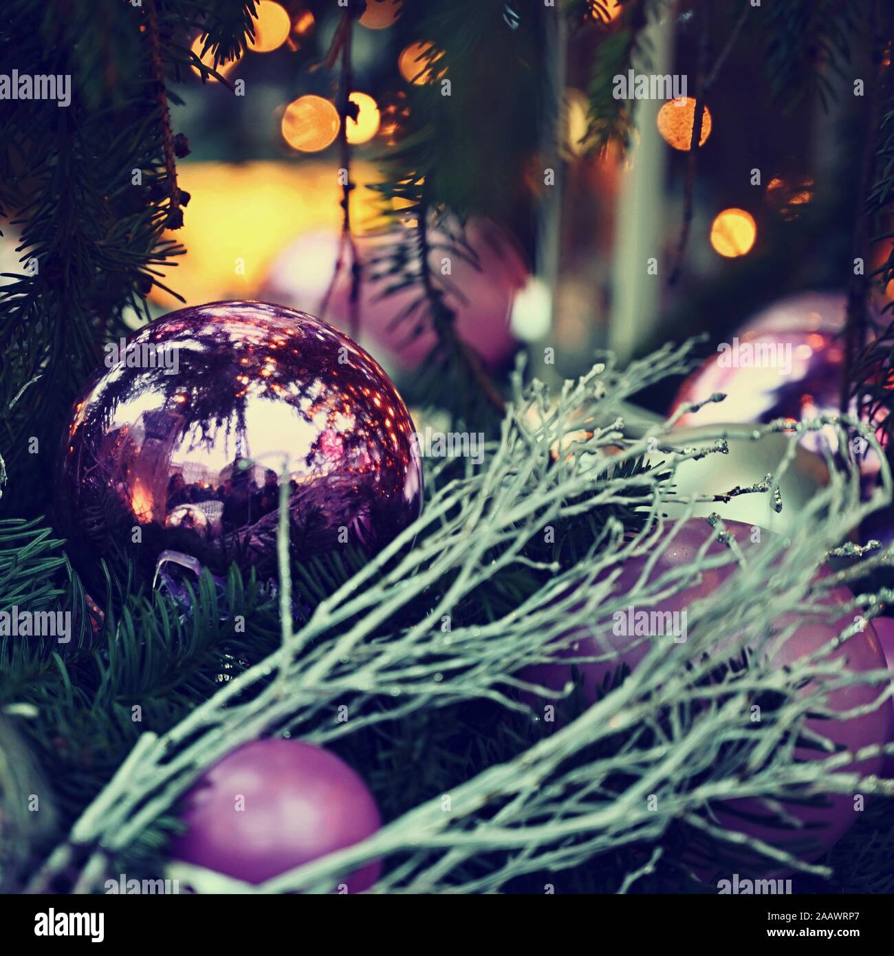 Beautiful Christmas ornament on the Christmas tree with lights Stock ...