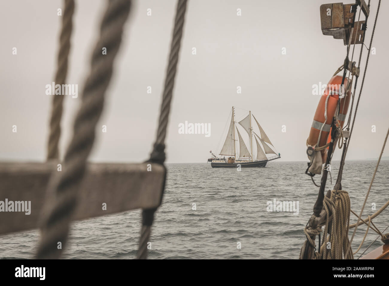 Denmark, Baltic Sea, Traditional sailing ship seen from gaff schooner ...