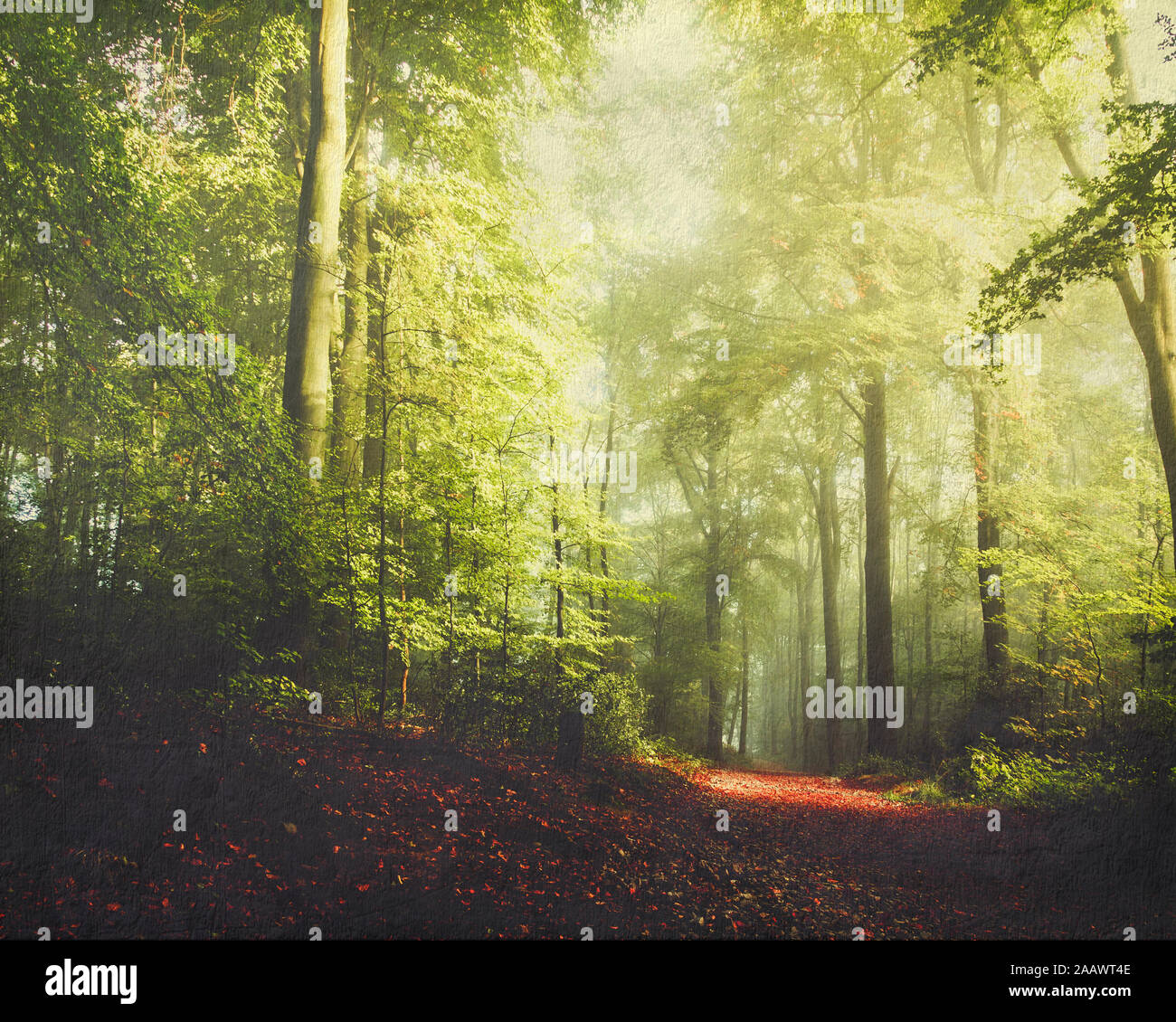 Wuppertal landscape hi-res stock photography and images - Alamy