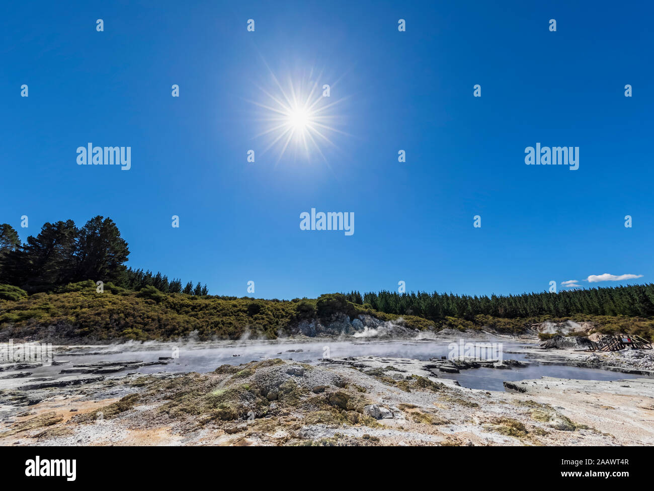 Hells gate geothermal park new zealand hi-res stock photography and ...
