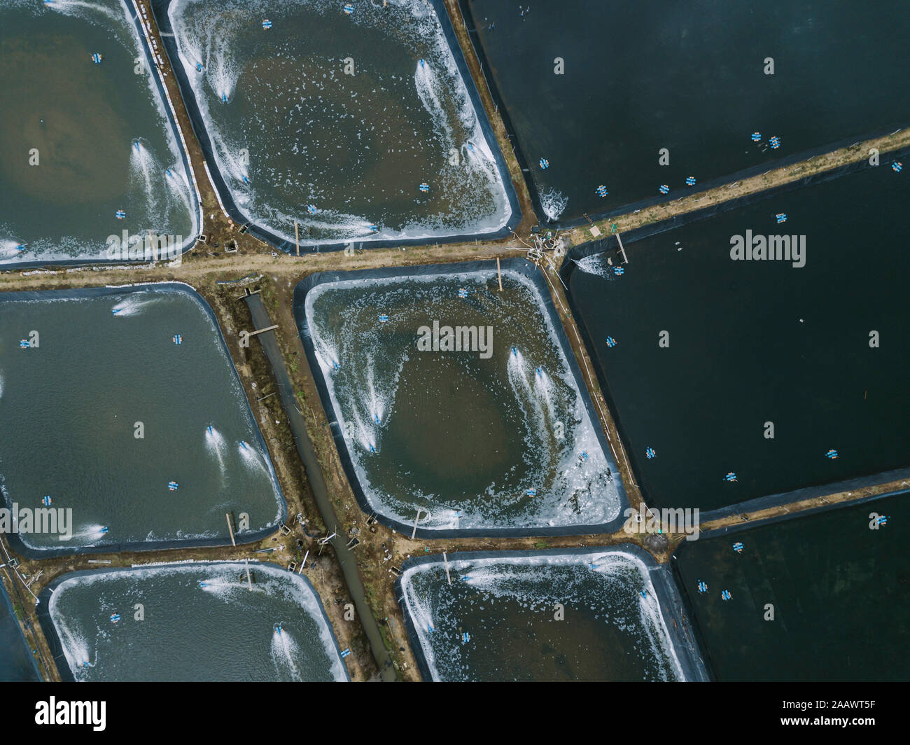 Aerial view of shrimp farm, Bali, Indonesia Stock Photo - Alamy