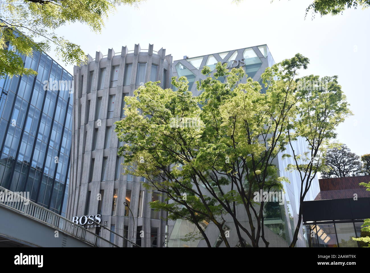 The exterior of Boss and Tod's flagship stores in Omotesando district ...