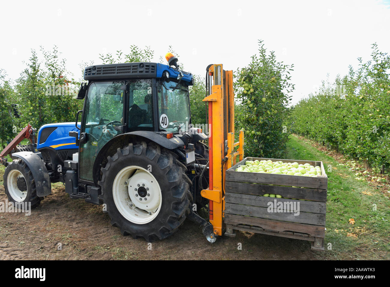 Tractor trailer apples hi-res stock photography and images - Alamy