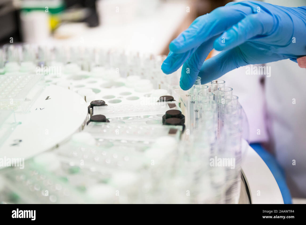 Crop person in latex gloves taking sample working in modern laboratory ...