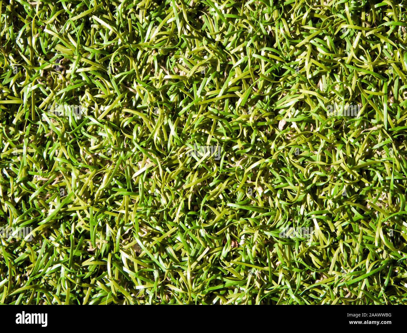 Astro turf texture hi-res stock photography and images - Alamy