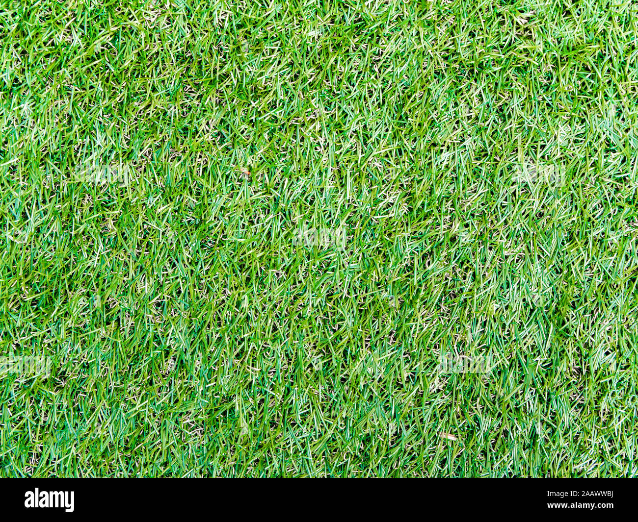 Texture of plastic grass on artificial turf Stock Photo - Alamy