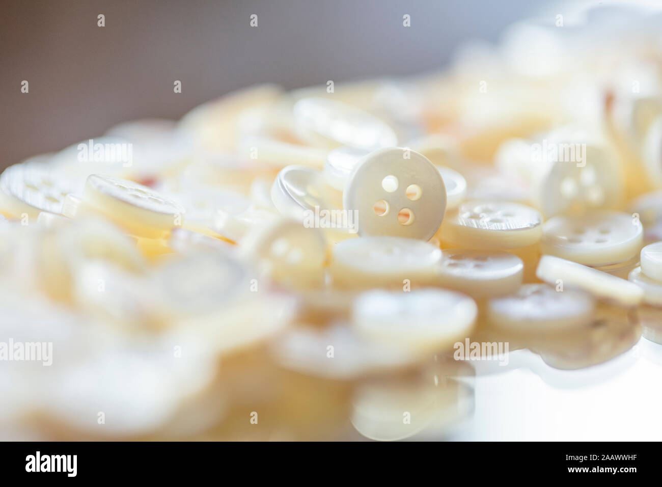 Building made of shells hi-res stock photography and images - Alamy