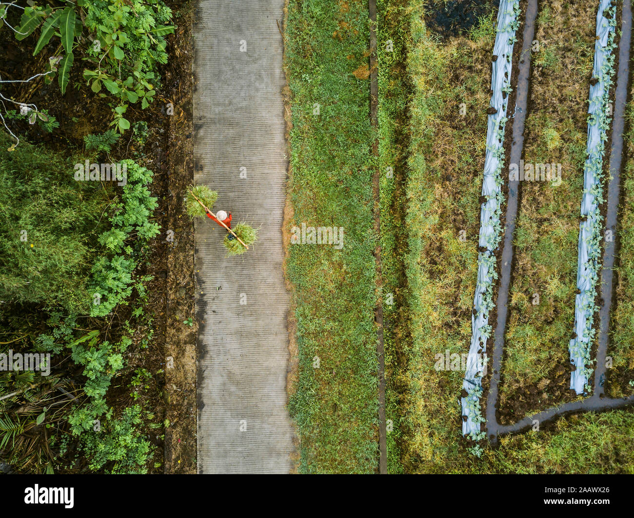 Agricultural activity bali hi-res stock photography and images - Alamy