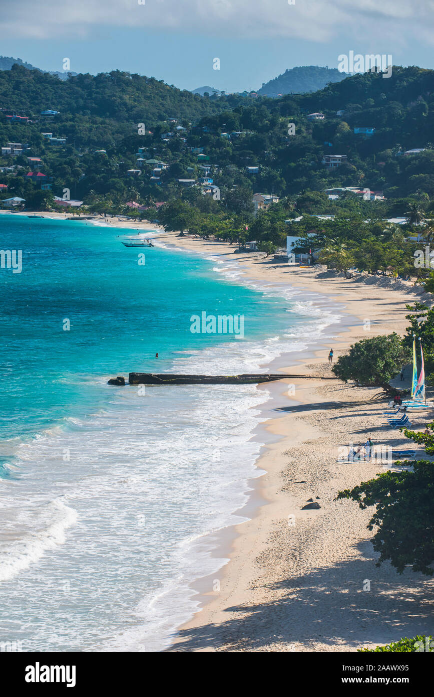 Birds of the caribbean hi-res stock photography and images - Alamy