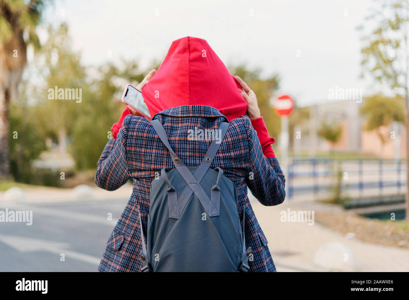 Back view of young woman with backpack and mobile phone putting on hood ...