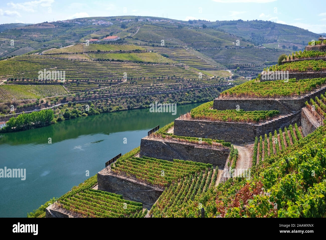 Portugal, Douro Valley, terraced vineyard overlooking Douro river Stock ...