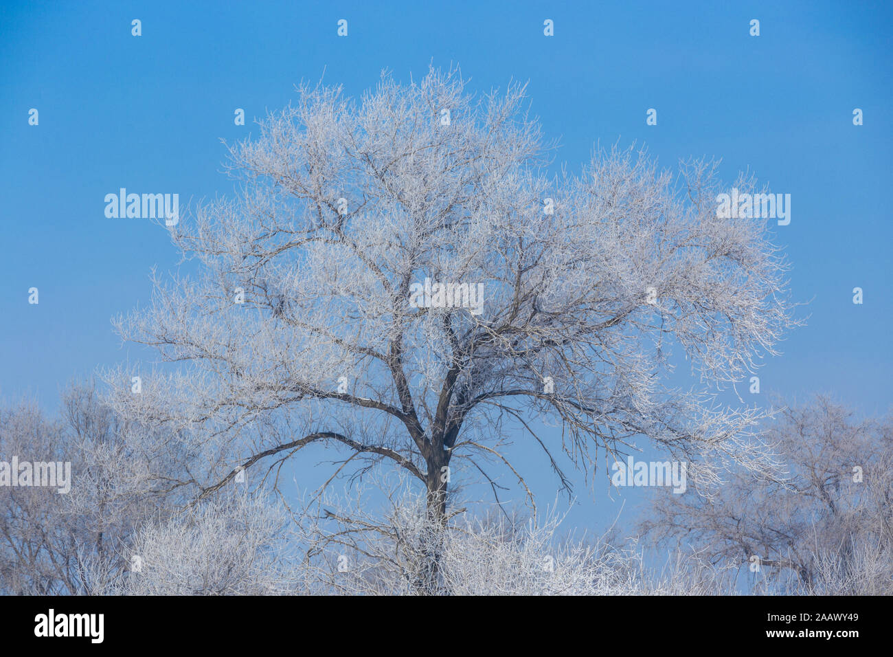 Winter Rime Scenery at Daytime in Famous Rime Island in a winter day ...