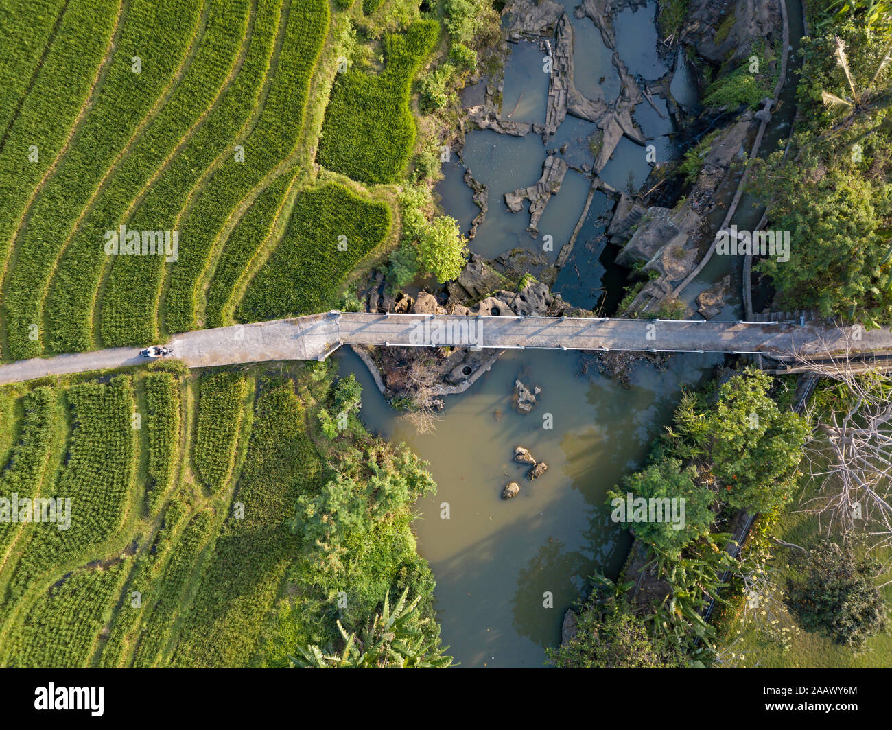 Aerial view of farmer riding motorcycle on road amidst agricultural ...