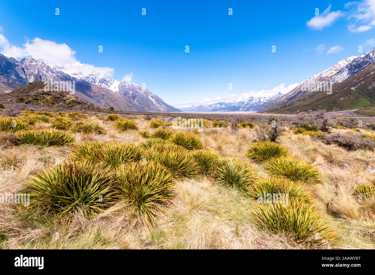 Growth landscape hi-res stock photography and images - Alamy
